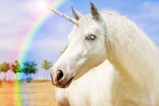 UNICORN Definition & Meaning - Merriam-Webster