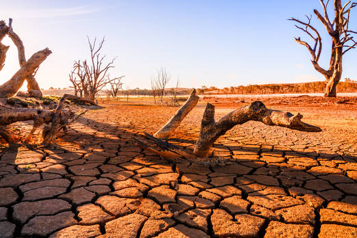 DROUGHT Synonyms: 43 Similar and Opposite Words | Merriam-Webster Thesaurus