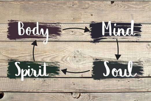 WHOLISM Definition & Meaning - Merriam-Webster