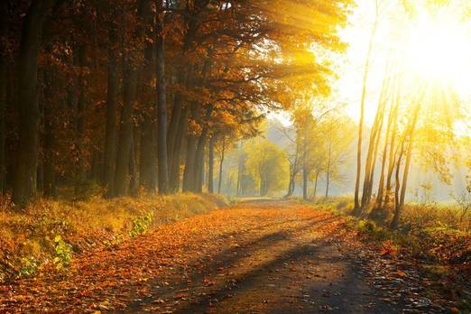 UNBEKNOWNST Synonyms: 13 Similar Words | Merriam-Webster Thesaurus
