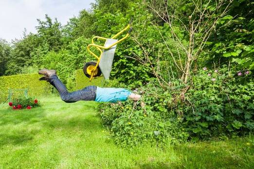 BEFALL Synonyms: 33 Similar Words | Merriam-Webster Thesaurus