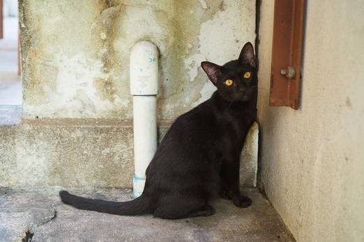 CATERCORNER Definition & Meaning - Merriam-Webster