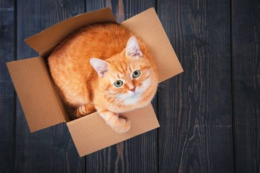 SITUATION Definition & Meaning - Merriam-Webster