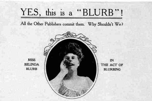 BLURB Definition & Meaning - Merriam-Webster