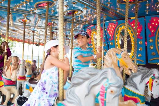 Carousal Definition & Meaning - Merriam-Webster