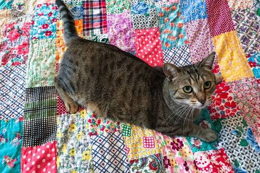 COMPRISE Definition & Meaning - Merriam-Webster