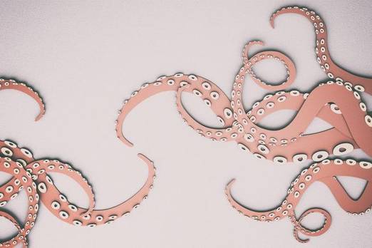 Octopus Definition & Meaning - Merriam-Webster