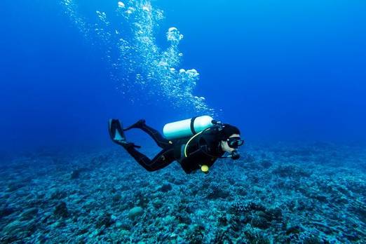 DIVE Definition & Meaning - Merriam-Webster