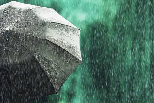 UMBRELLA Definition & Meaning - Merriam-Webster