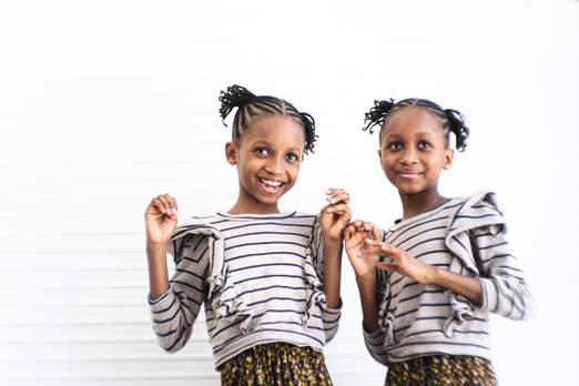 Geminate Definition & Meaning - Merriam-Webster