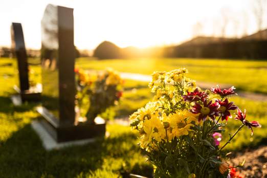 CEMETERY Synonyms: 16 Similar Words | Merriam-Webster Thesaurus
