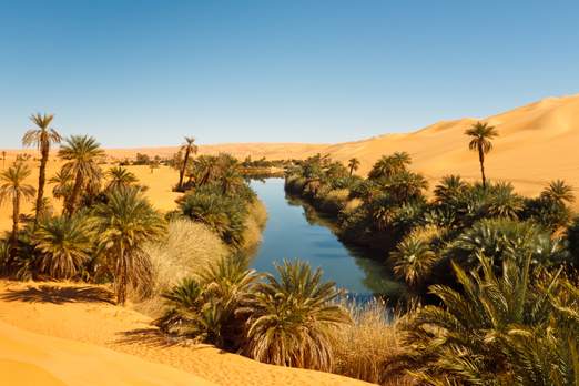 DEMURE Definition & Meaning - Merriam-Webster