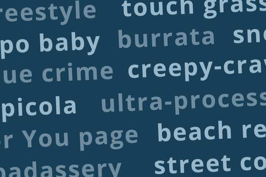 MAGA Definition & Meaning - Merriam-Webster