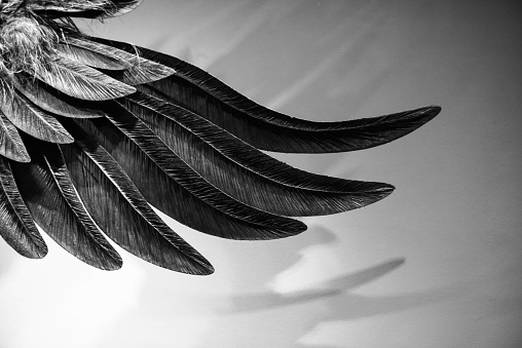 ANGEL Synonyms: 121 Similar and Opposite Words | Merriam-Webster Thesaurus