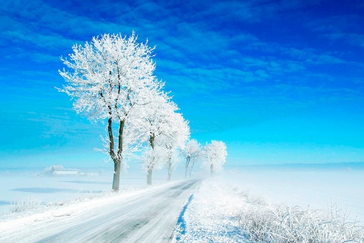 Blizzard Definition & Meaning - Merriam-Webster