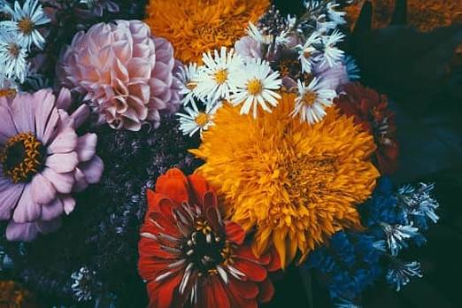 LIER Definition & Meaning - Merriam-Webster