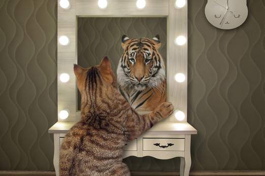 HALLUCINATION Synonyms: 75 Similar and Opposite Words | Merriam-Webster ...