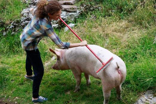 HOGWASH Definition & Meaning - Merriam-Webster