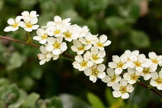 OVERHAUL Synonyms: 47 Similar and Opposite Words | Merriam-Webster ...