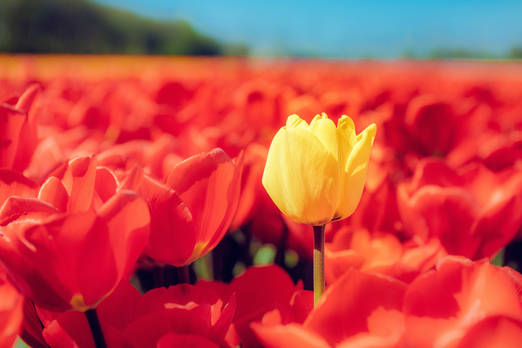 HOWEVER Synonyms: 17 Similar Words | Merriam-Webster Thesaurus