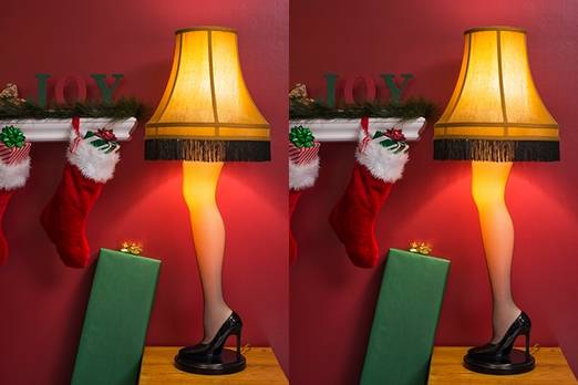 LIMB Definition & Meaning - Merriam-Webster