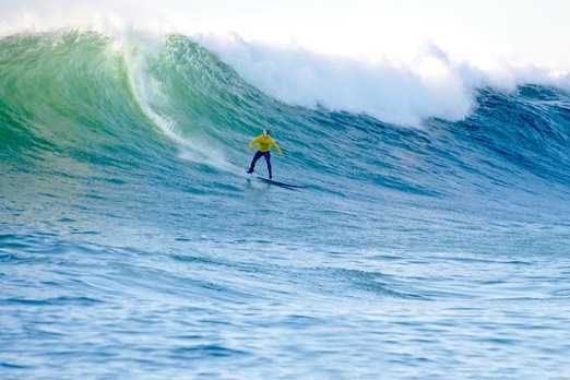 Maverick Definition & Meaning - Merriam-Webster