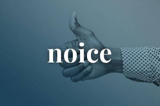 NICENESS Definition & Meaning - Merriam-Webster