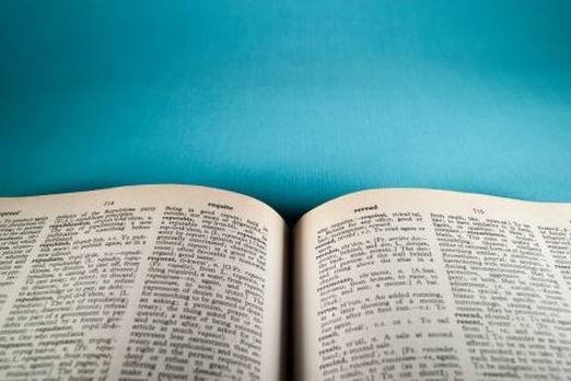 DESCRIPTIVISM Definition & Meaning - Merriam-Webster