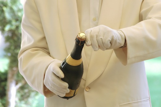 OPULENT Synonyms: 123 Similar and Opposite Words | Merriam-Webster ...