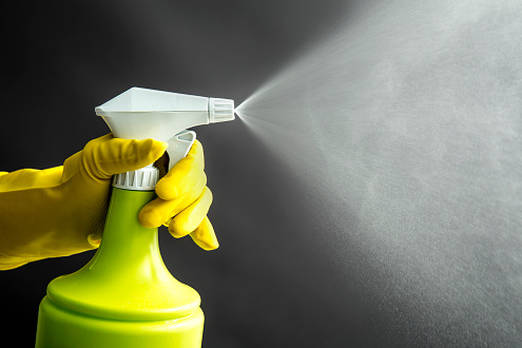 Disinfectant Definition & Meaning - Merriam-Webster