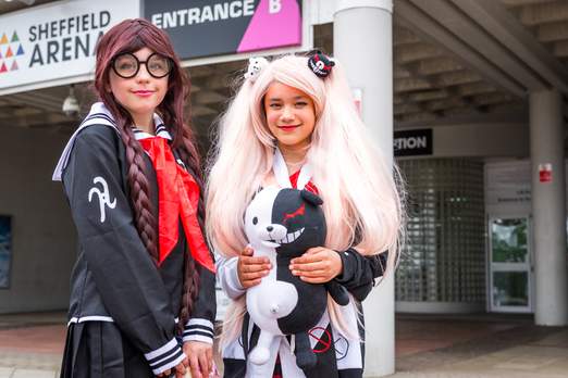 FAN Definition & Meaning - Merriam-Webster