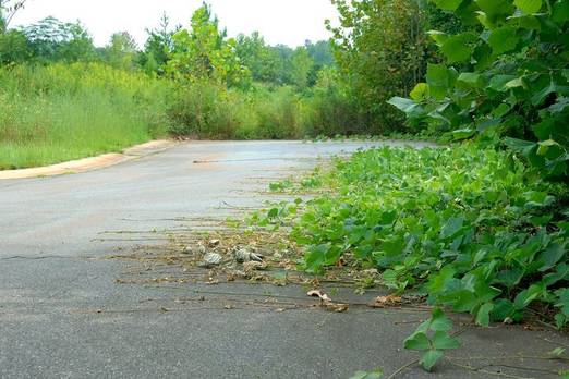 ENCROACH Synonyms: 16 Similar Words | Merriam-Webster Thesaurus