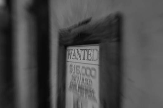 BOUNTY Definition & Meaning - Merriam-Webster