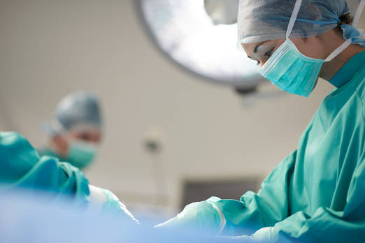 FEMALE Synonyms: 60 Similar and Opposite Words | Merriam-Webster Thesaurus