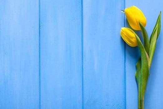 Plead Definition & Meaning - Merriam-Webster