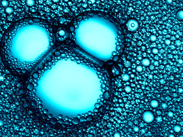 The Many Meanings of Mickey Mouse | Merriam-Webster