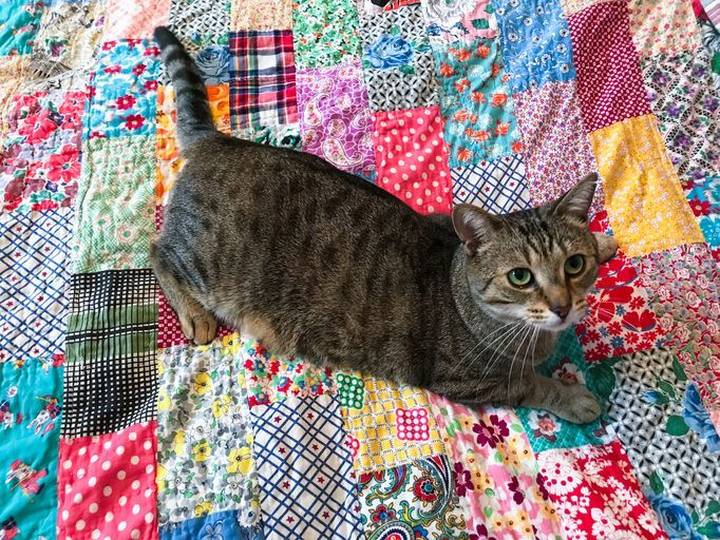 Can you use comprised of? Comprised Of vs Composed Of | Merriam-Webster