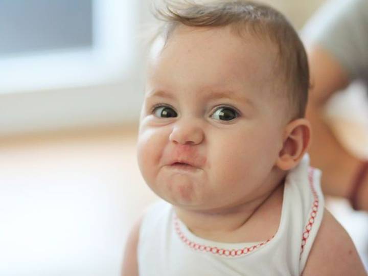 'Ornery' vs. 'Ordinary' | Merriam-Webster