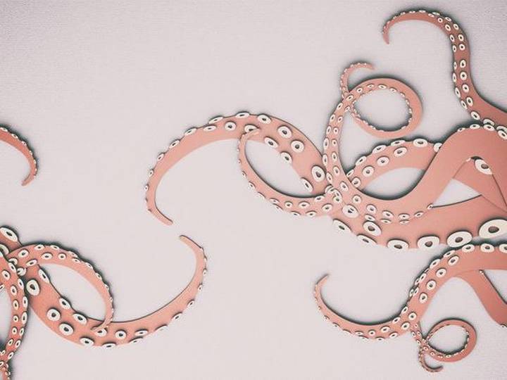 Plural of Octopus: Octopi vs. Octopuses vs. Octopodes | Merriam-Webster Plural of Octopus: Octopi vs. Octopuses vs. Octopodes | Merriam-Webster