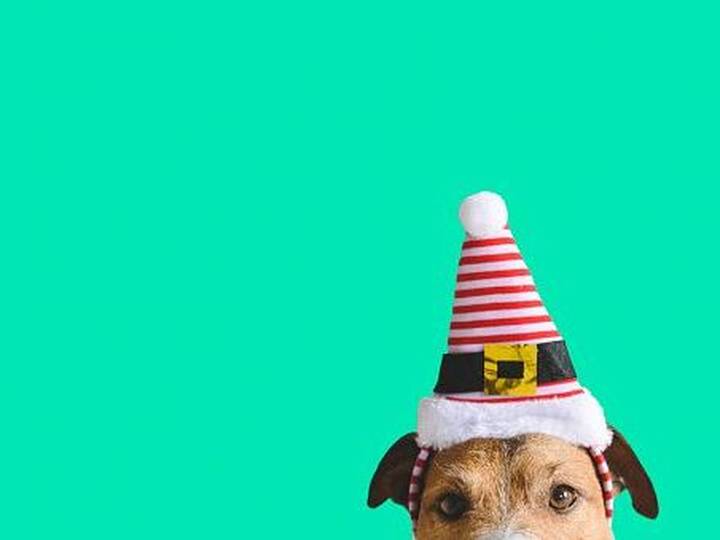 Elfs or Elves: What is the plural of 'elf'? | Merriam-Webster