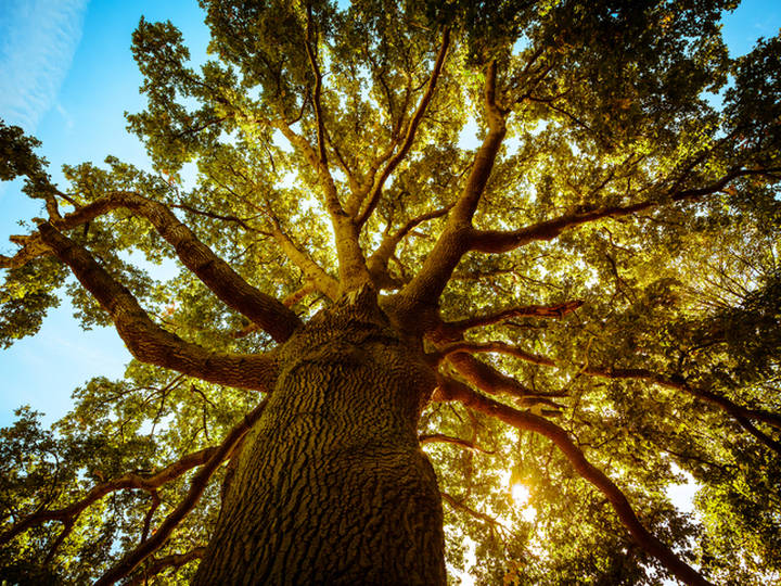 Pronouncing 'Height' Like it Ends in 'th' | Merriam-Webster