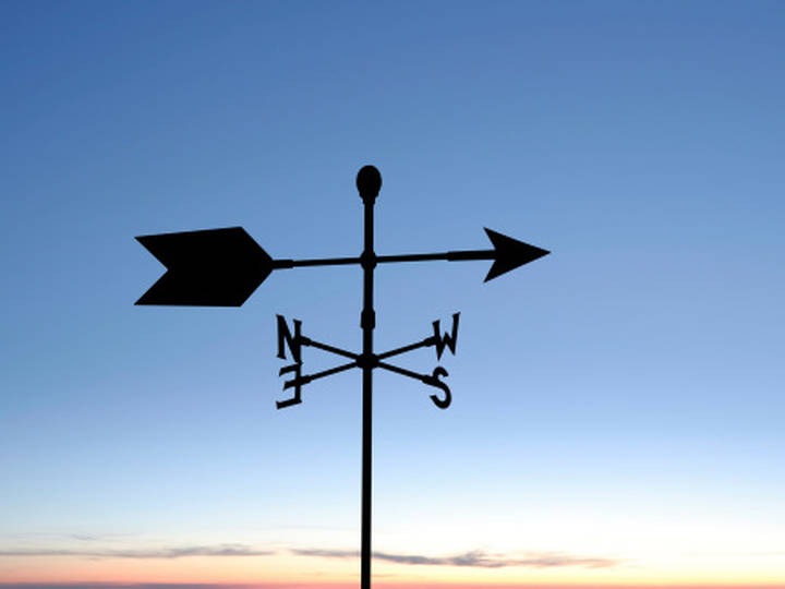 Vane vs. Vain vs. Vein: How to Use Each | Merriam-Webster