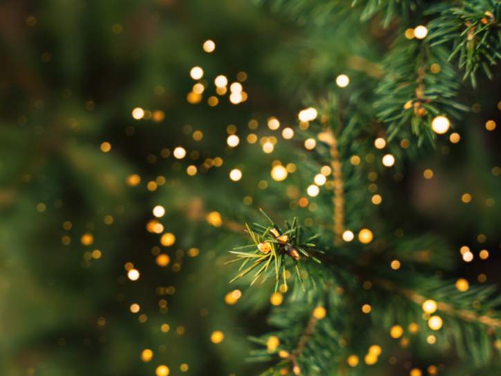 Words of the Week - Dec. 26 | Merriam-Webster