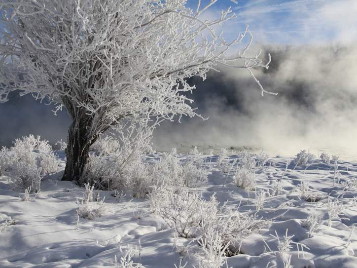 Words of the Week - Jan. 16 | Merriam-Webster