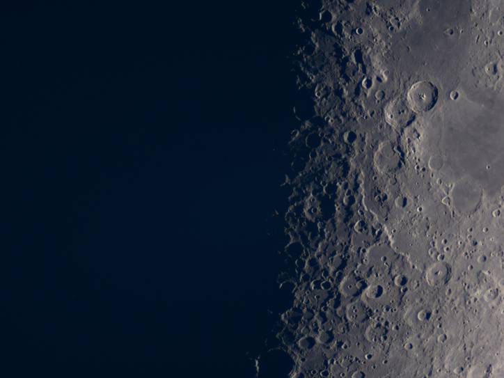 Words of the Week - Apr. 10 | Merriam-Webster