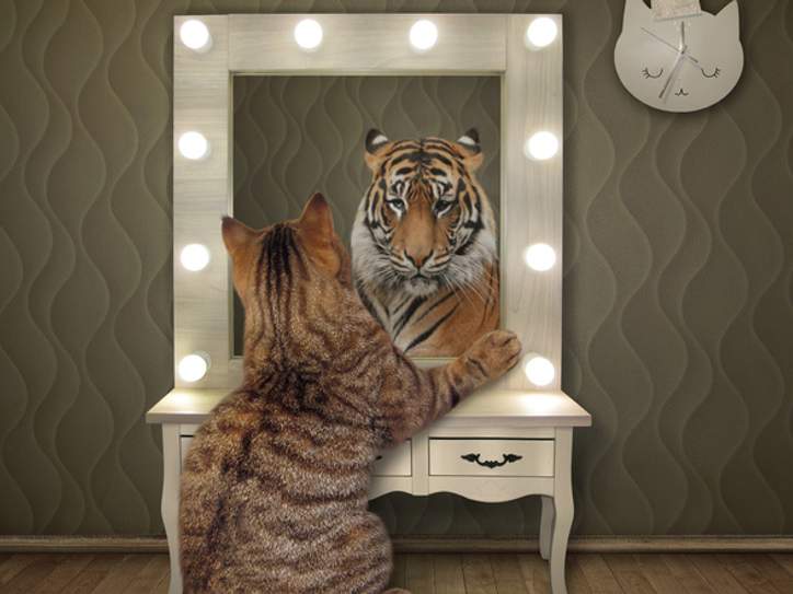 Delusion vs. Hallucination: An Explanation | Merriam-Webster