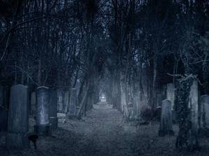 Spelling & Pronunciation Guide | Merriam-Webster