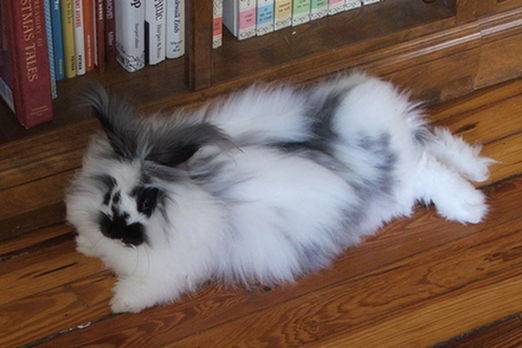 WORSTED Definition & Meaning - Merriam-Webster