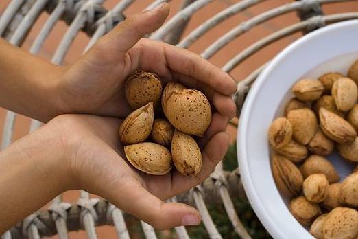 PASTIME Definition & Meaning - Merriam-Webster