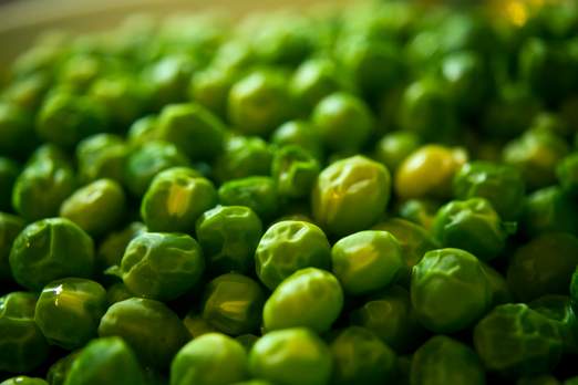 HEADCHEESE Definition & Meaning - Merriam-Webster